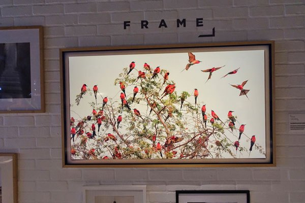 The Frame: tivi kiêm tranh nghệ thuật tô điểm căn nhà của bạn | Nguyễn ...