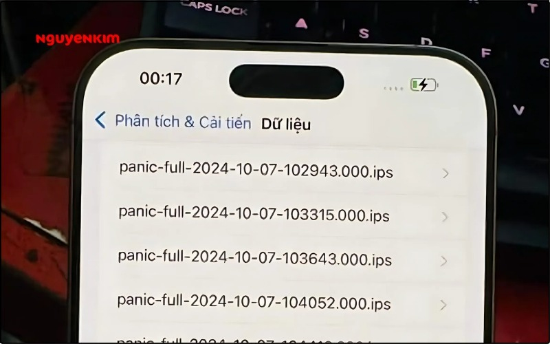Lỗi Panic Full iPhone: Nguyên nhân và cách khắc phục | Nguyễn Kim ...