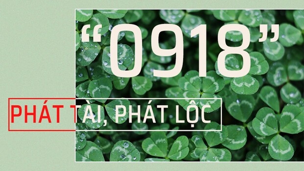091 Là Mạng Gì? Ý Nghĩa Của Đầu Số 091 Với Người Dùng Sim Điện Thoại ...
