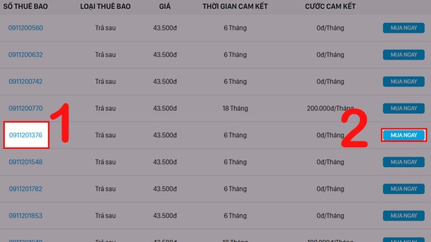 091 Là Mạng Gì? Ý Nghĩa Của Đầu Số 091 Với Người Dùng Sim Điện Thoại ...