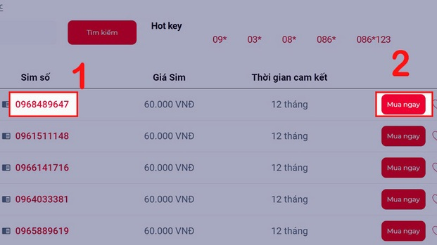 096 Là Mạng Gì? Cách Chọn Sim 096? Ý Nghĩa Của Đầu Số 096 Chi Tiết Nhất ...