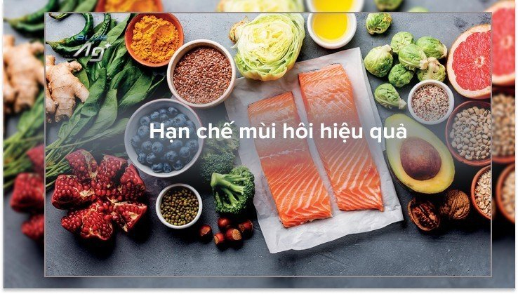 Công Nghệ Blue Ag+ Trên Tủ Lạnh Panasonic | Nguyễn Kim Blog