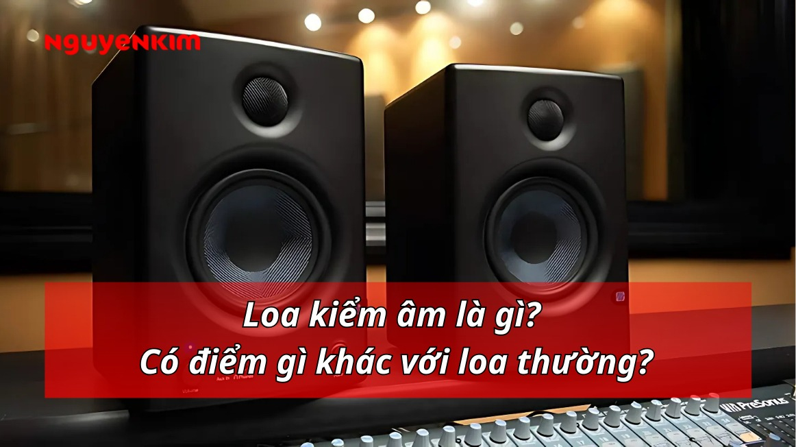 Loa kiểm âm là gì? Phân biệt với loa thường | Nguyễn Kim | Nguyễn Kim Blog