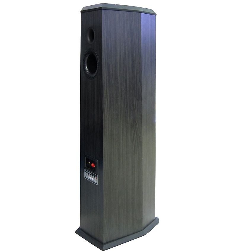 Loa ACNOS SL939 kiểu dáng hiện đại giá rẻ tại nguyenkim.com