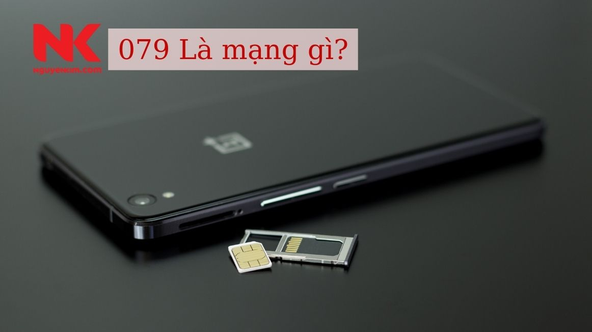 079 là mạng gì? Có nên sử dụng đầu số 079 không? Ý nghĩa của số 079 ...