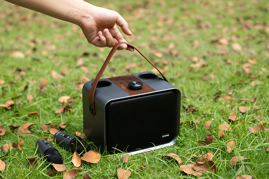 Bộ loa karaoke ICORE ISM09 kèm 2 micro, Giá Rẻ, Chính Hãng | Nguyễn Kim