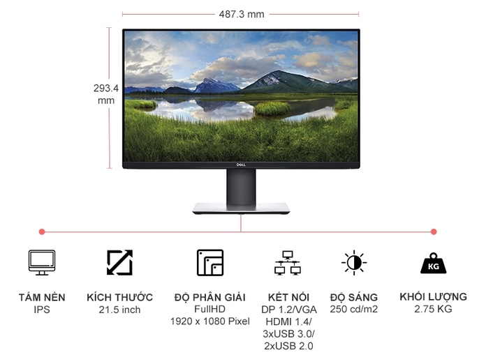 Màn Hình Máy Tính Dell P2219H 21.5 Inch | Nguyễn Kim