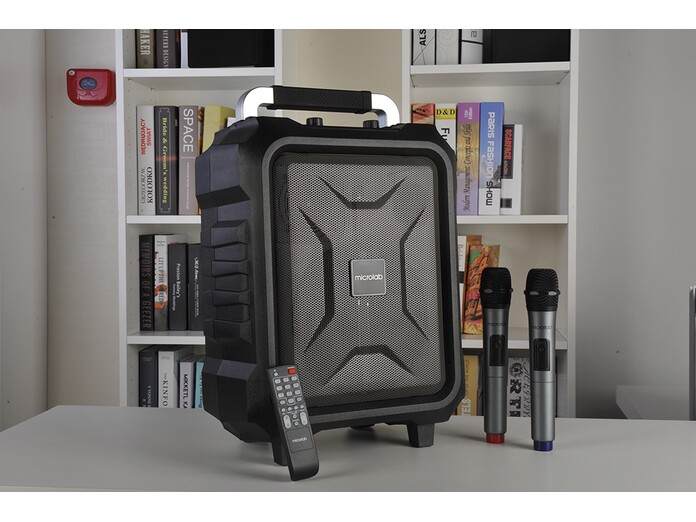 Loa Kéo Microlab TL20 Giá Tốt | Nguyễn Kim